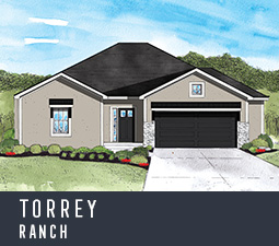 Elevate Design + Build